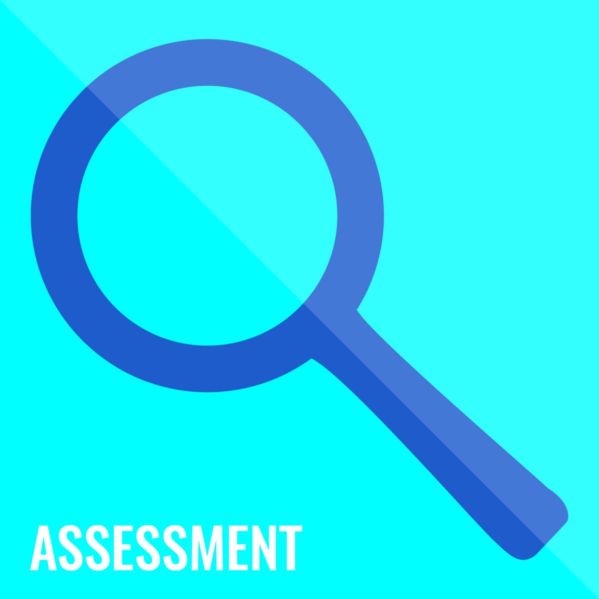Assessment | Direct Behavior Ratings